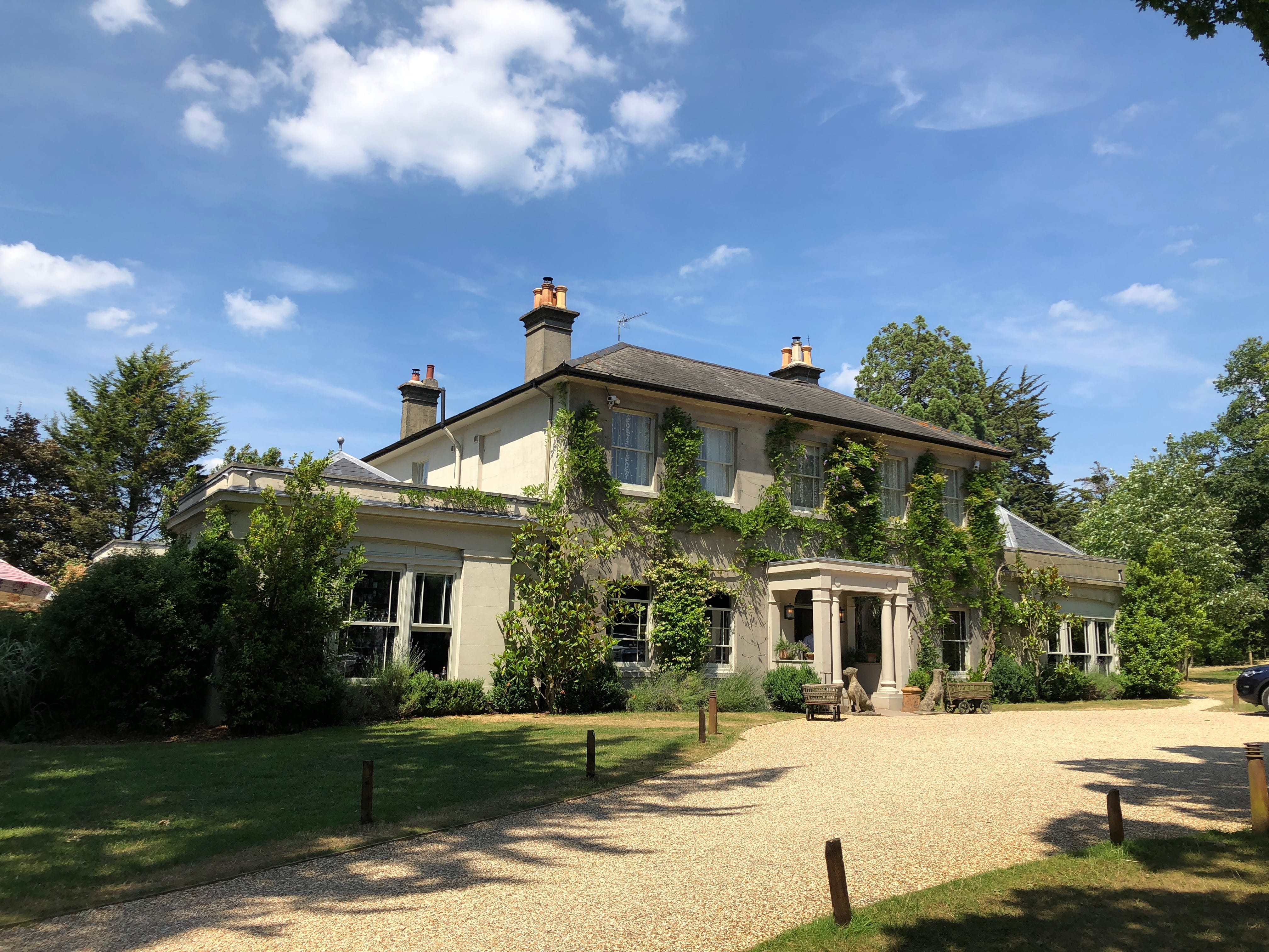 Postcard From The Pig, New Forest