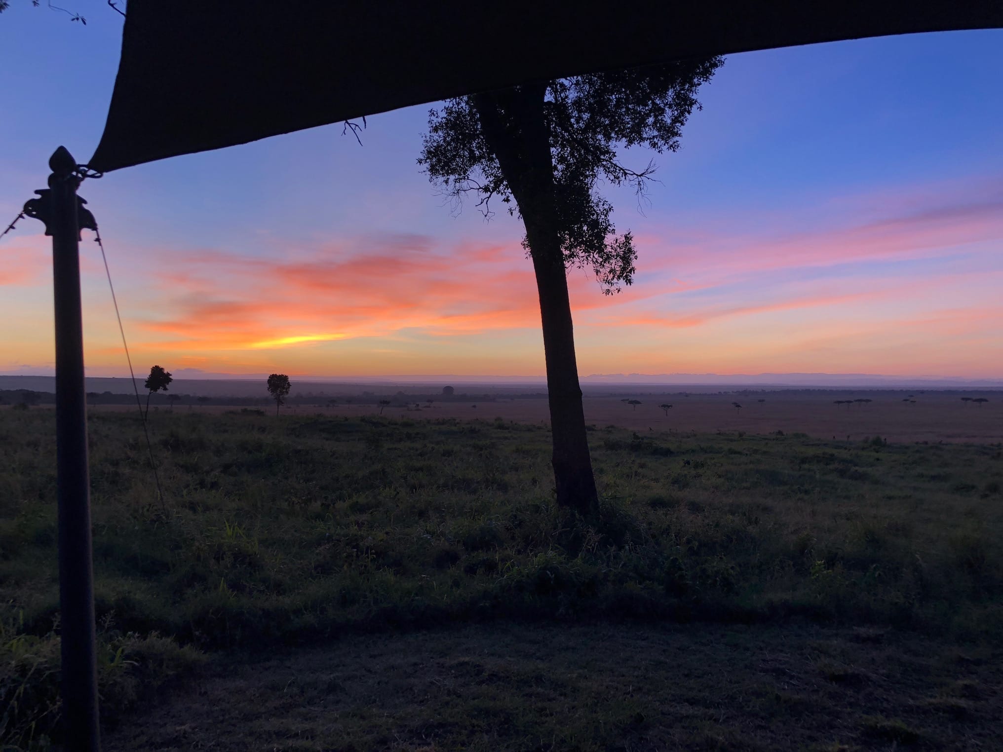 Just Checked Out: andBeyond Bateleur Camp, Masai Mara